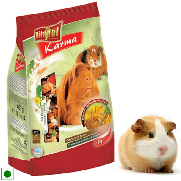 Rabbits – petstreetonline